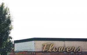 Qué hacer en Seattle en 3 días | el antitour